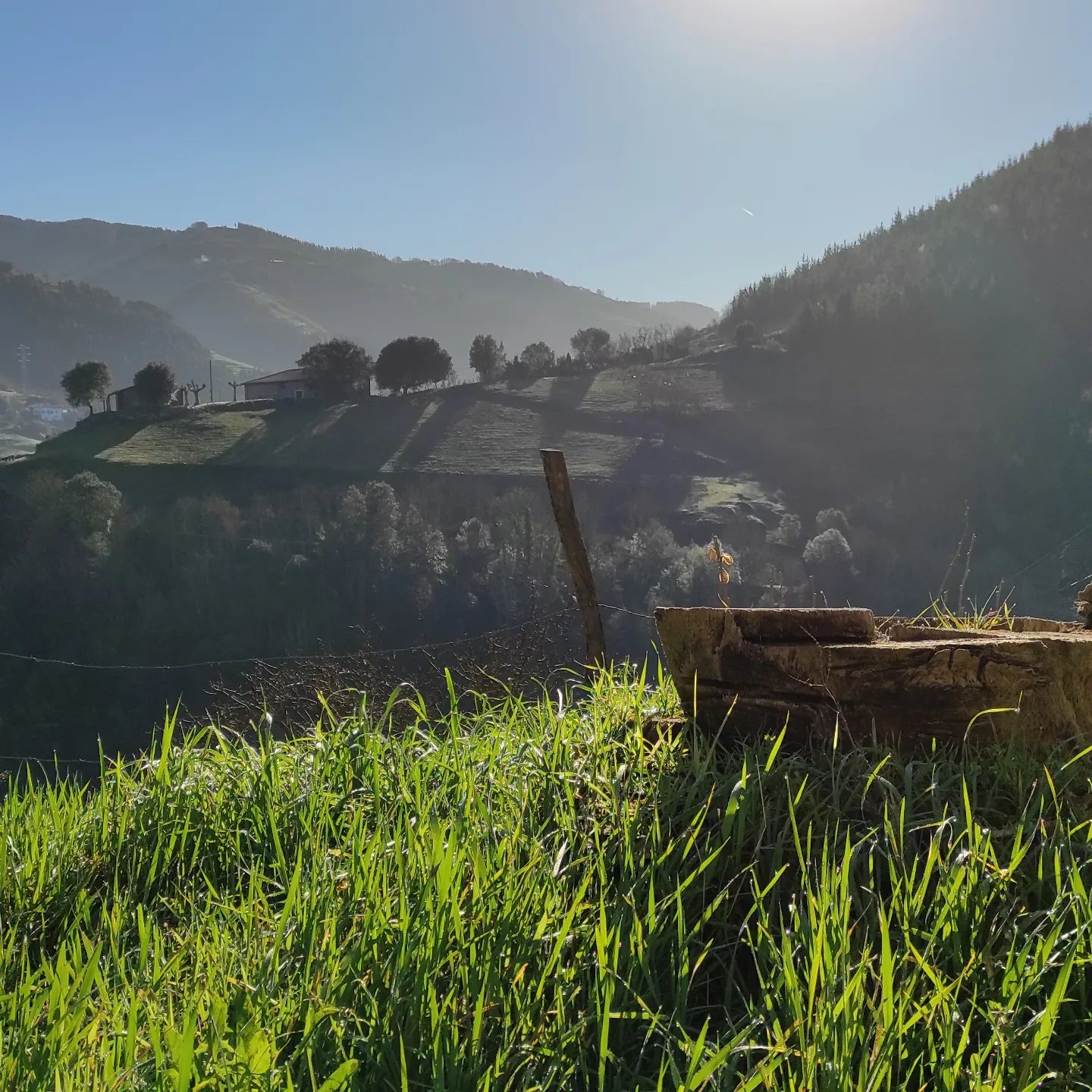 Easy Slow Cooked Pulled Turkey - Basic recipe RootsandCook