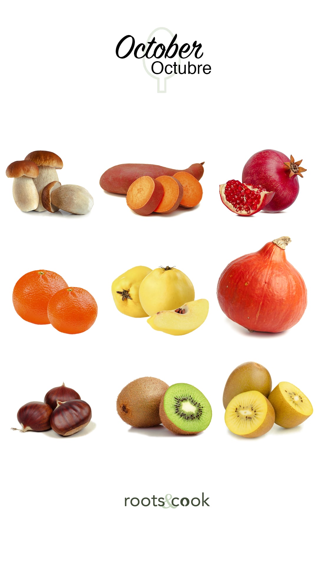 October Produce Guide: What is in season? - RootsandCook