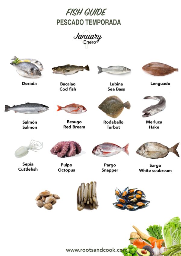 January Produce Guide - What Is In Season? - RootsandCook