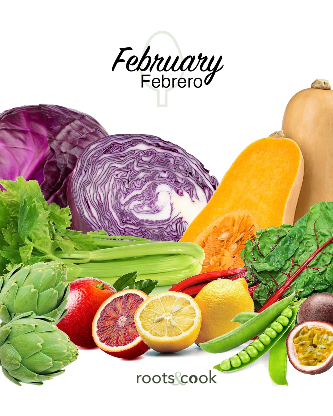 February Produce Guide - What Is In Season? - RootsandCook
