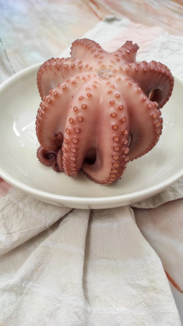 How to cook octopus - RootsandCook