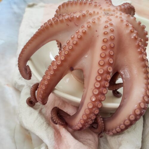 How to cook octopus - RootsandCook