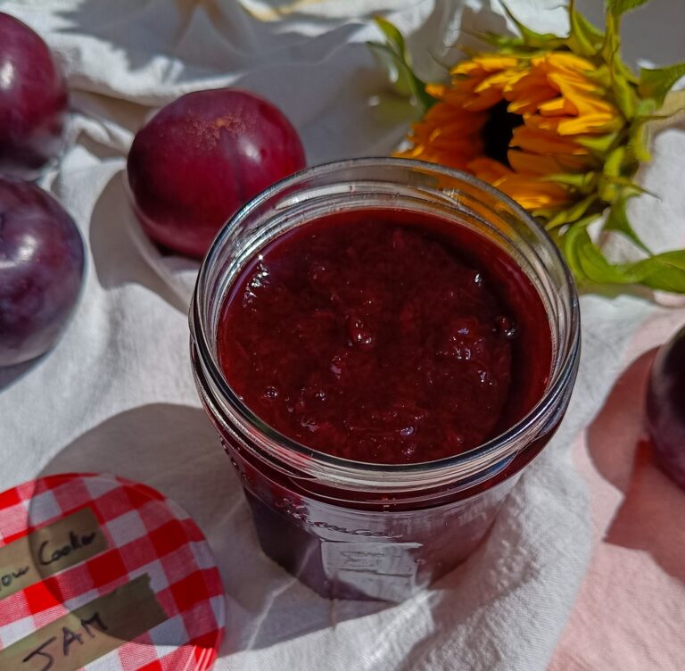 Slow Cooker Plum Jam - RootsandCook